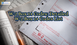 W-2 Box 14 Codes: Detailed W-2 Box 14 Codes List - I Love Typing